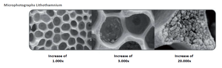 Oceana Minerals – Planted Passion Agriculture